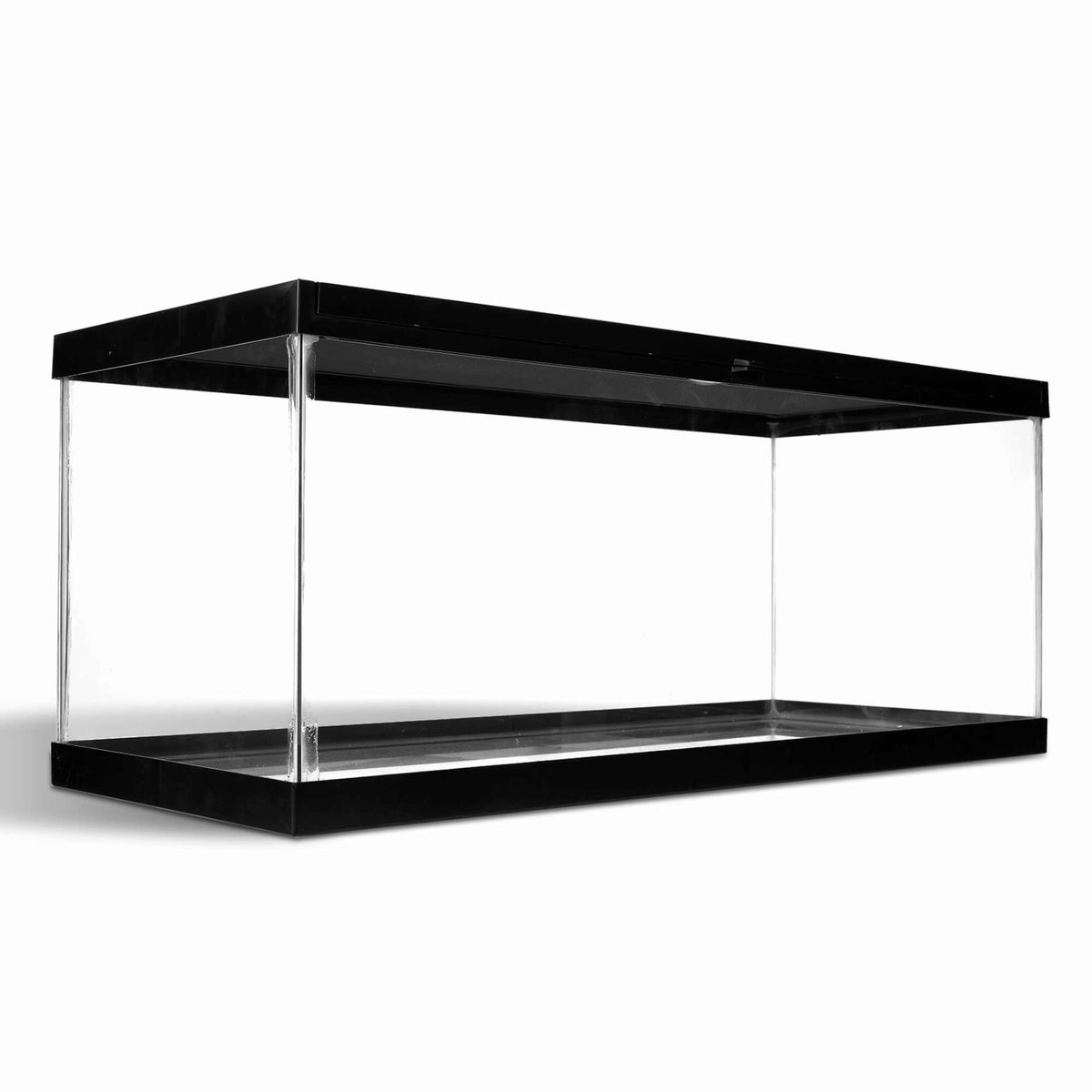 Zilla Critter Cage® Enclosures - Winchester, VA - Winchester Aquarium ...