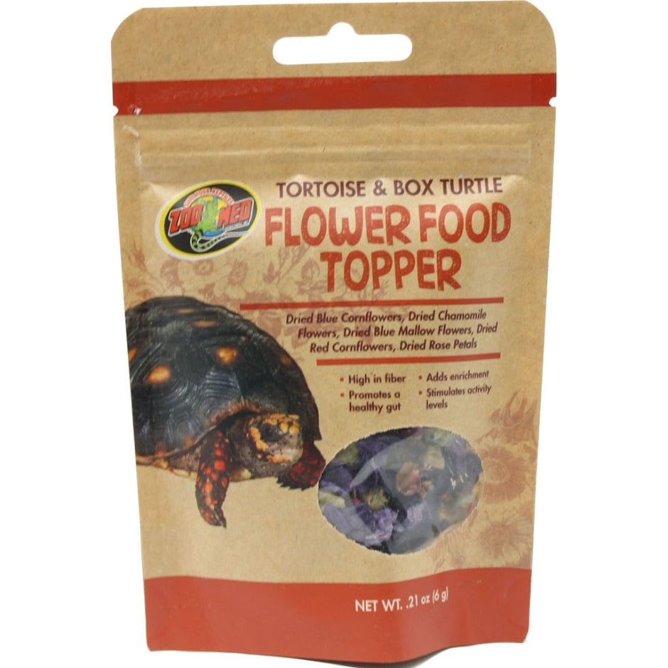 TORTOISE & BOX TURTLE FLOWER FOOD TOPPER - Winchester, VA - Winchester ...